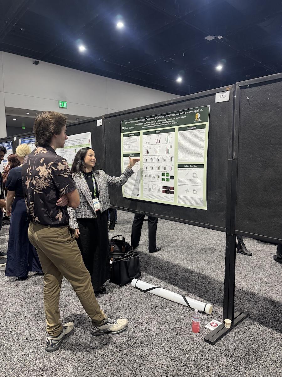 Felise Bressler Presents Research at Society for Neuroscience Annual ...